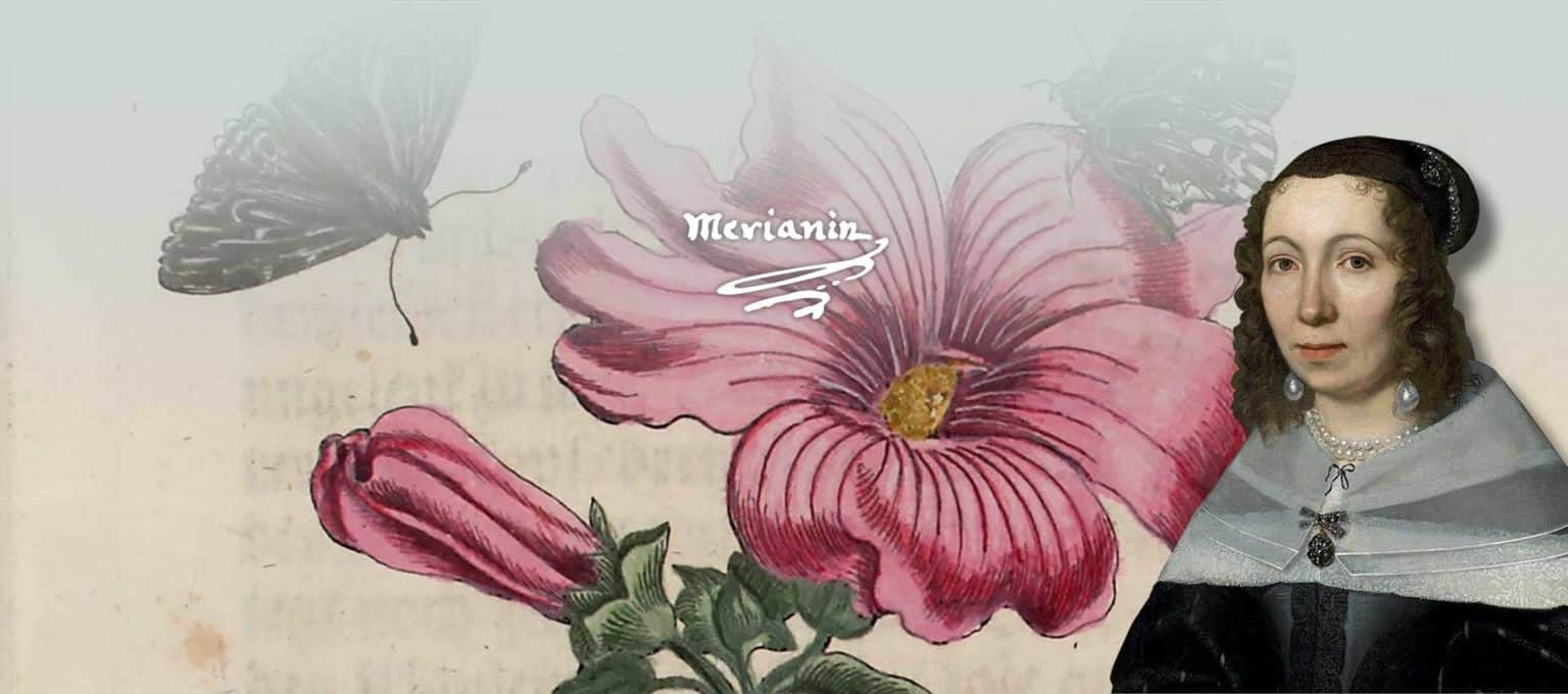 Home - merianin.de